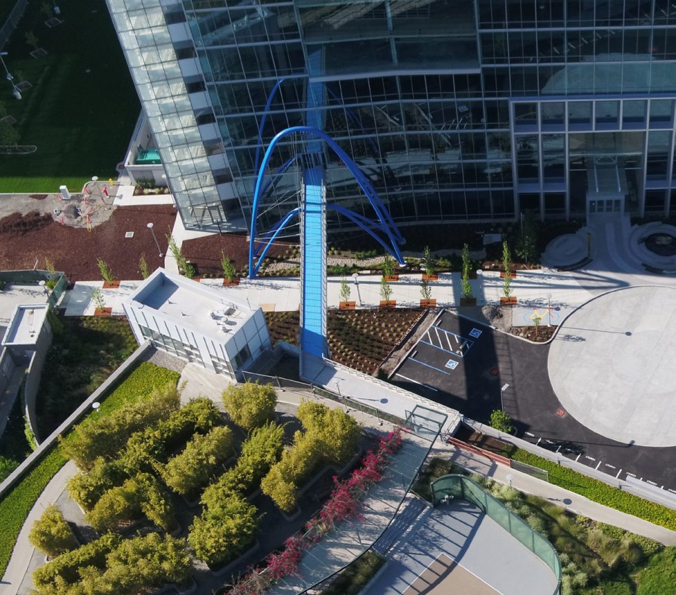 Silicon Tech Company (Google) Bridge - TrueNorth Steel